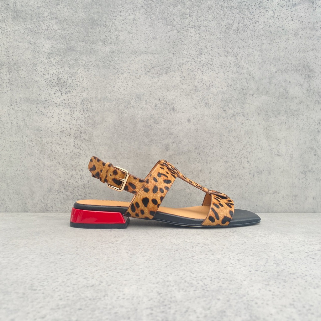 Bresley Santo Leo – Wink Shoe Store